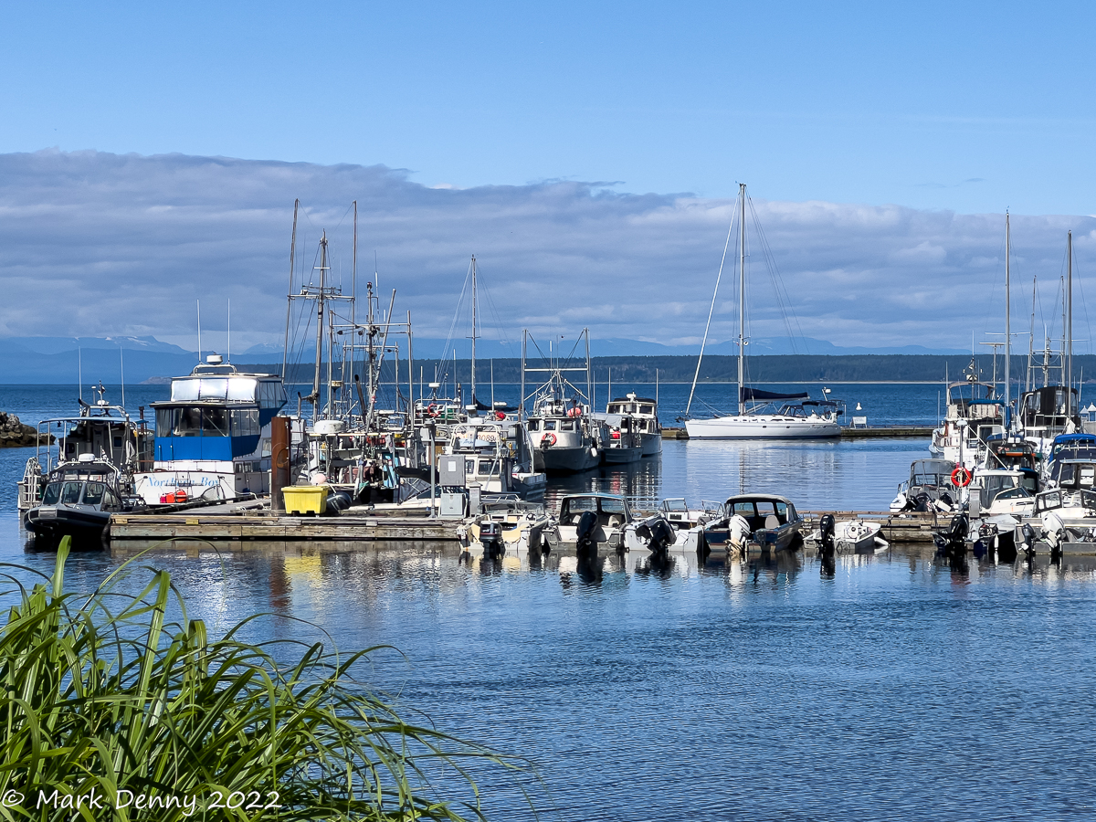 Desolation Sound – Sailing First Light